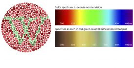 Can a Color Blind Person Go Into Aviation? - Pilot Institute