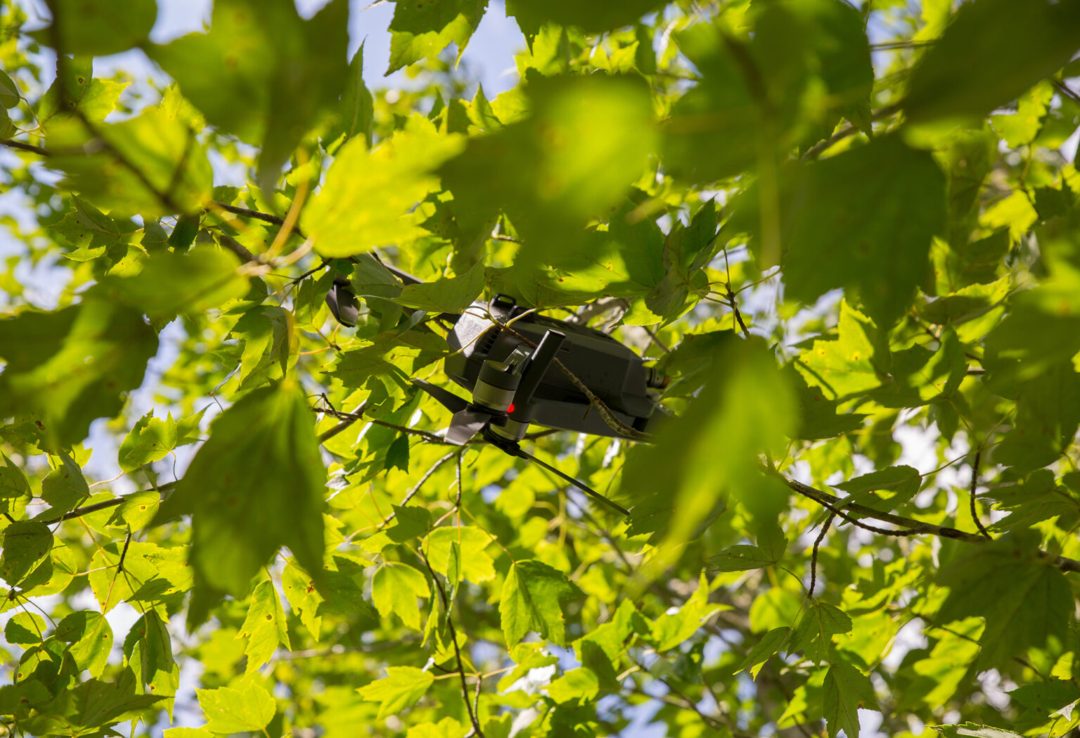 Lost Link Emergency Procedures for Drone Pilots - Pilot Institute