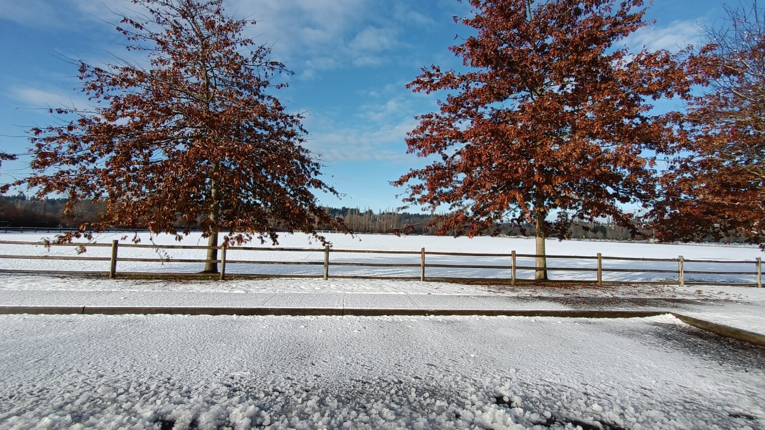 Best Places to Fly Your Drone in Seattle - Pilot Institute