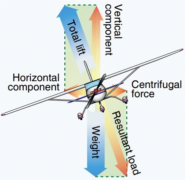 Everything You Need To Know About Ailerons - Pilot Institute