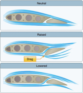Everything You Need To Know About Ailerons - Pilot Institute