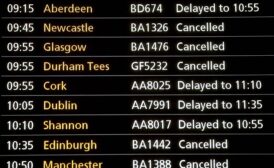Tail Number vs Callsign vs Flight Number: Pilotinstitute