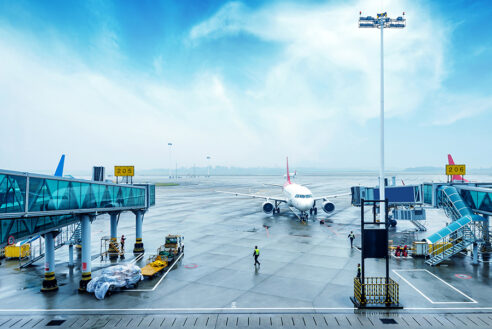 Tail Number vs Callsign vs Flight Number: Pilotinstitute