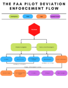 How to Avoid Pilot Deviations - Pilot Institute