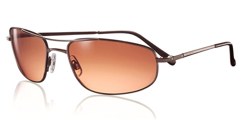 Best Sunglasses for Pilots: Pilotinstitute