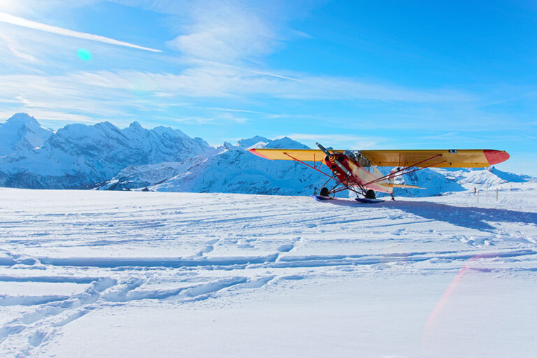 Landing Gear Configurations : pilotinstitute