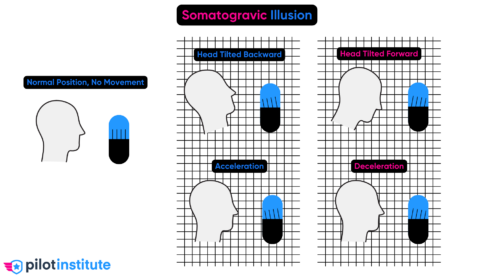 The 8 Types of Illusions Explained - ICEFLAGS - Pilot Institute