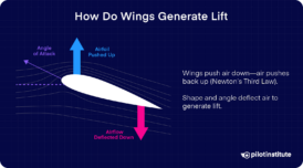 The Role of Newton's Third Law in Aviation - Pilot Institute
