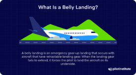 What Is a Belly Landing? Causes, Risks, and Recovery - Pilot Institute