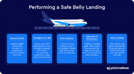 What Is a Belly Landing? Causes, Risks, and Recovery - Pilot Institute