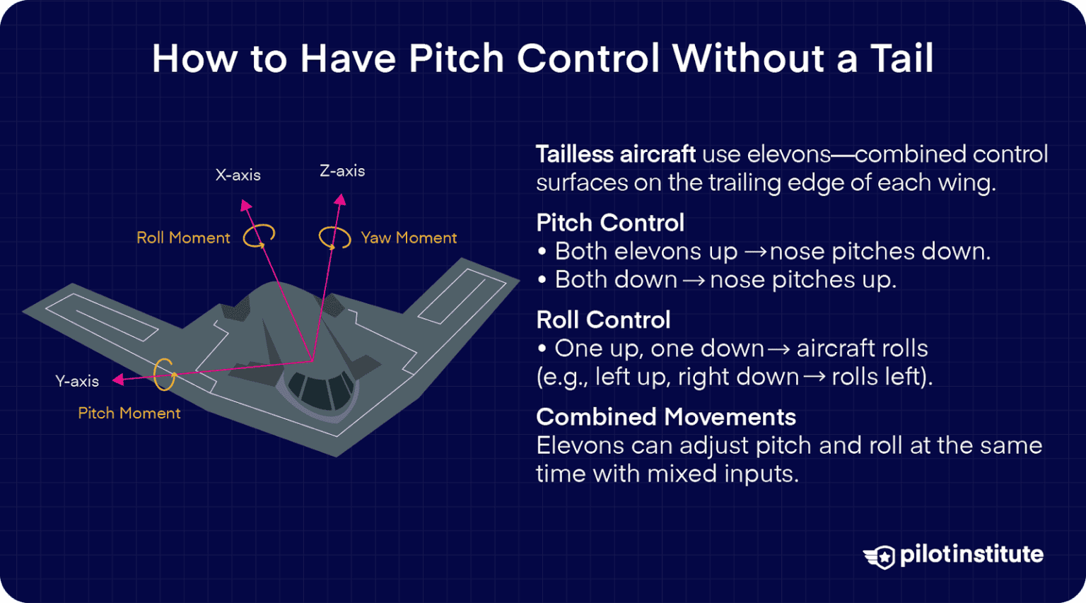 Tailless Aircraft: How Airplanes Fly Without a Tail - Pilot Institute
