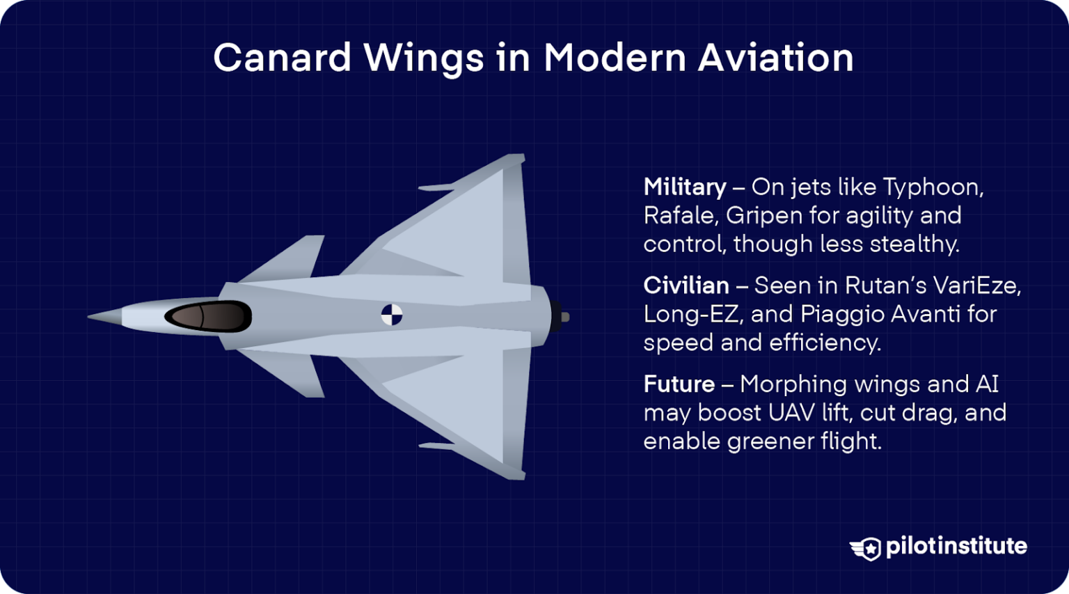 What Are Canard Wings? How Forward Control Surfaces Change Flight ...